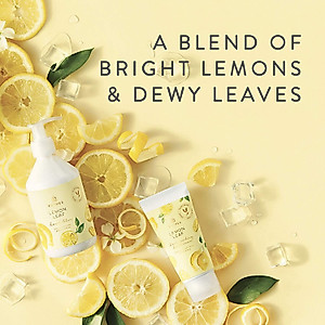 Thymes Lemon Leaf Dishwashing Liquid Soap - Eco Friendly Dish Soap Liquid for Dish Washing - Household Cleaning Supplies - 16 fl oz