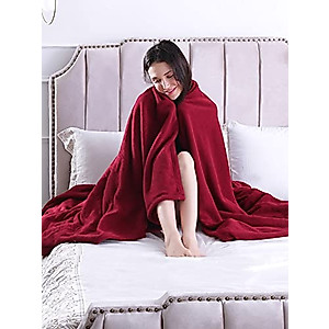 Electric Heated Blanket 62'' x 84'' Twin Size, 4 Heating Levels & 10 Hours Auto Off, Full Body Warming with Fast Heating & Machine Washable, Lightweight Cozy Soft Fleece for Home Use