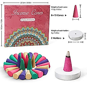 Incense Cones, Assorted Scented Incense Cones with Holder, Incense Gift Set for Mothers Day, Rose, Sage, Lavender, Violet, Cinnamon, Eucalyptus, Sandalwood, Rain Forest, 120 Cones Total