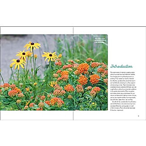 Deer-Resistant Native Plants for the Northeast