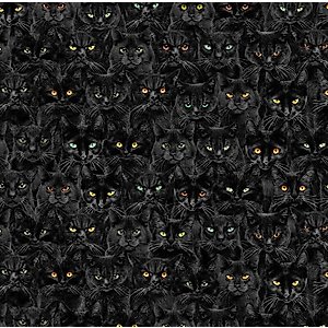Timeless Treasures Wicked CD1831 Black Cats Magic Fabric