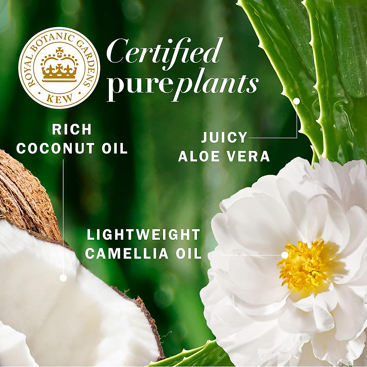 Herbal Essences Coconut Oil Hydrating Shampoo, 13.5 Fl Oz, with Certified Camellia Oil and Aloe Vera, For All Hair Types, Especially Dry Hair