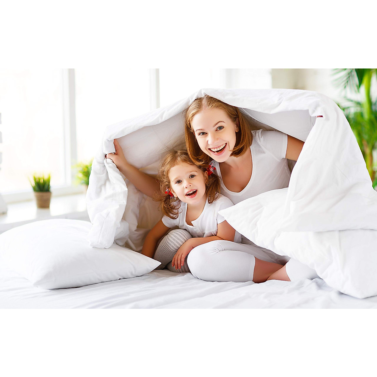 Elegant Comfort 1500 Thread Count Wrinkle & Fade Resistant Egyptian Quality 4-Piece Ultra Soft Luxurious Bed Set Includes Flat, Fitted Sheet and 2 Pillowcases, Full, Classic Silver