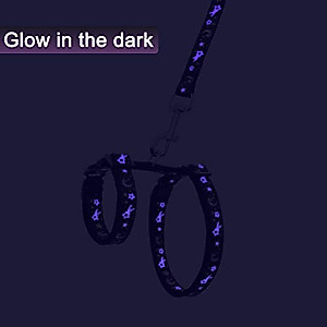 Cat Harness and Leash Set for Outdoor Walking Escape Proof Adjustable Soft Safety Strap with Golden Star and Moon Design Glow in The Dark Black Large