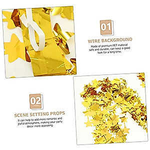 NOLITOY 4 Sets Rainbow Star Ramadan Birthday Decorations Hanging Wedding Streamer Ornament Twinkle Prop Decor of Booth Shimmer Door Scene Decal Backdrops Golden for Gold Parties Curtains