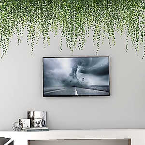 CHANMOL Green Plant Home Decor Wall Stickers 2 Sheets Peel and Stick Leaves Art Murals PVC Decals for Kids Bedroom Nursery Living Room Kitchen Bathroom Removable as Housewarming Birthday Gift