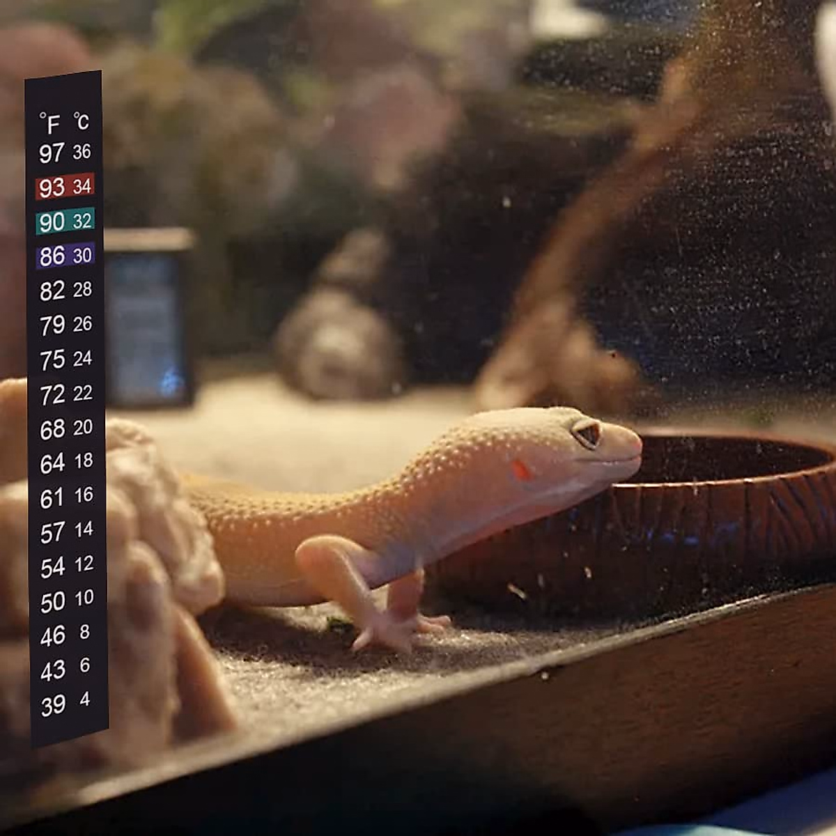 Jansamn Brewing Thermometer Strip Adhesive Strip Thermometer Aquarium Thermometer Sticker Thermometer Sticker for Fish Tank/Kombucha 39℉ to 97℉ & 4℃ to 36℃