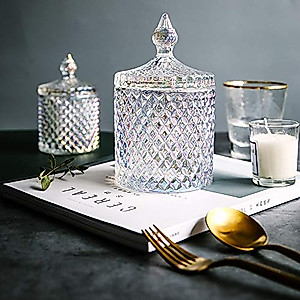 Rainie Love Home Basic Food Storage Jar with Lid, Cookie Tin, Biscuit Barrel,Decorative Candy Jar - 16 oz