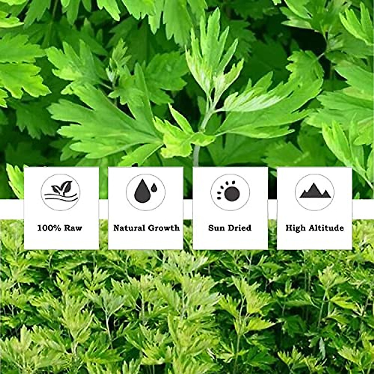 LYCKLIGA - Mugwort Leaves, Mugwort Tea, 2oz(56g) Natural Mugwort Herb Dried Artemisia Vulgaris