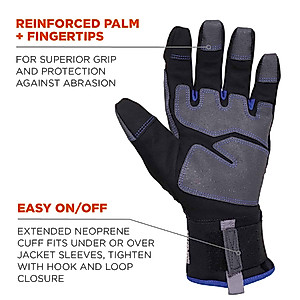 Ergodyne unisex adult Reinforced Thermal Waterproof Winter Work Gloves, Black, Large Pack of 1 US