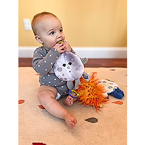 Celestial Buddies Over The Moon for You Gift Box Set - Baby Board Poem & Crunch Bunch Plush Sensory Learning Educational Space Planet Teether Toy