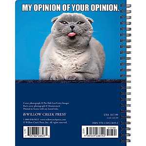 Willow Creek Press Cat-astrophe Softcover Weekly Planner 2024 Spiral-Bound Engagement Calendar (6.5" x 8.5")