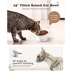 Raised Cat Food Bowl Ceramic 15° Tilted Cat Food Bowls Protect Cat's Spine Anti Vomiting Backflow Prevention Cat Bowls for Adult Cats, Kitten, and Small Dogs, Pink