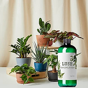 Lush Houseplant Fertilizer | 500ml Concentrated Liquid Fertilizer | Makes Over 50 Gallons | Made in The USA (500ml/16.9oz)