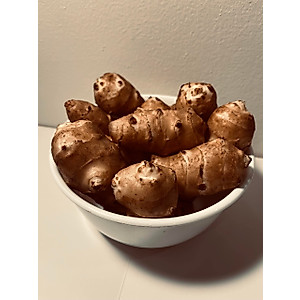 Sunchokes - 5 pounds (5 lbs) for Planting or Eating FEDEX 2Day