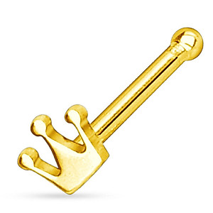 Body Accentz Nose Ring 20g 6mm Crown Top 316L Stainless Steel Nose Stud