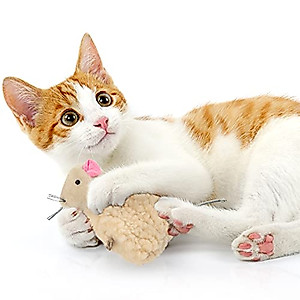 SmartyKat Madcap Mania Refillable Plush Catnip Cat Toy, Includes Catnip Tube - Randomly Selected Color, One Size