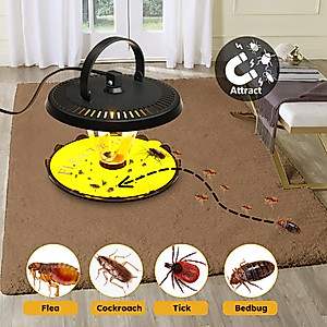 Flea Trap for Inside Your Home Indoor Electric Flea Light Catcher and Killer for House 2 Pack with 8 Sticky Pads Refills and 4 Replacement Lightbulbs