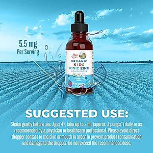 MaryRuth Organics Zinc Supplements for Immune Support, Liquid Zinc Supplement, Immune Support Supplement for Kids, Ages 4-13, Zinc Sulfate, Vegan, USDA Organic, Glycerin Based, 2 Fl Oz