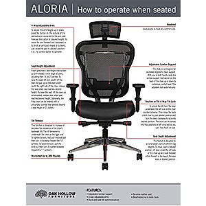 Oak Hollow Furniture Aloria Series Office Chair Ergonomic Executive Computer Chair, Genuine Leather Seat Cushion, Mesh Back, Adjustable Lumbar Support Swivel and Tilt High-Back (Black, Headrest)