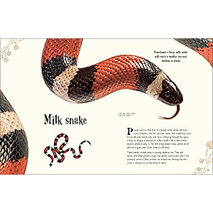 An Anthology of Intriguing Animals (DK Children's Anthologies)