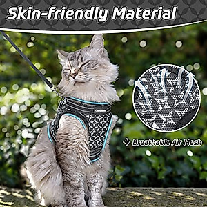 CatRomance Cat Harness and Leash, Escape Proof Kitten Harness and Leash Set for Walking, Adjustable Cat Vest Harness for Kitten, Breathable Kitty Harness ​with Reflective Strips and Easy Control