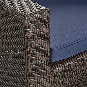 Christopher Knight Home 306023 Koch Outdoor Wicker Swivel Chair, Dark Gray, Multi Brown/Navy