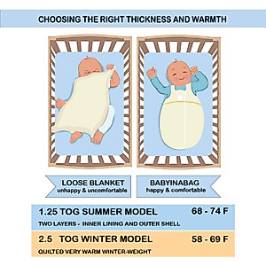 BABYINABAG Summer Model Baby Sleeping Bag and Sack, Plush Minky Dot, 1.25 Tog for Infants and Toddlers (Small (3-11 mos))