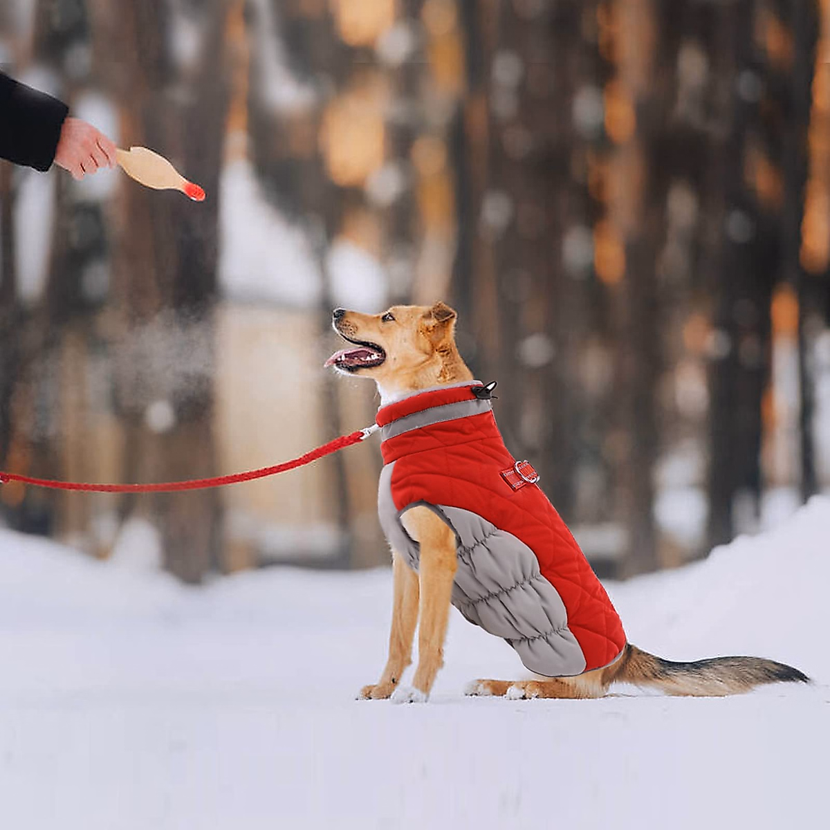 Lelepet Warm Dog Winter Coat Dog Coat Fleece Dog Jacket with Built in Harness Windproof Dog Cold Weather Coats Reflective Turtleneck XXLarge Dog Coat Waterproof Dog Coats for Small Medium Large Dogs