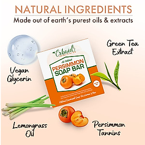 Persimmon Soap Bar for Body Odor Control – Purifying Deodorizing Body Wash with Japanese Persimmon & Green Tea Extract for Eliminating Nonenal Body Odor – Deodorant Soap Great for Skin Brightening