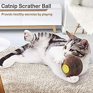 AREIIA Catnip Ball Toy for Cats Catnip Refillable Scratcher Ball Kitty's Faithful Playmate Reduce Obesity and Loneliness CSB01BR