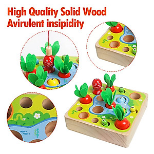 Skrtuan Wooden Toys Carrot Harvest