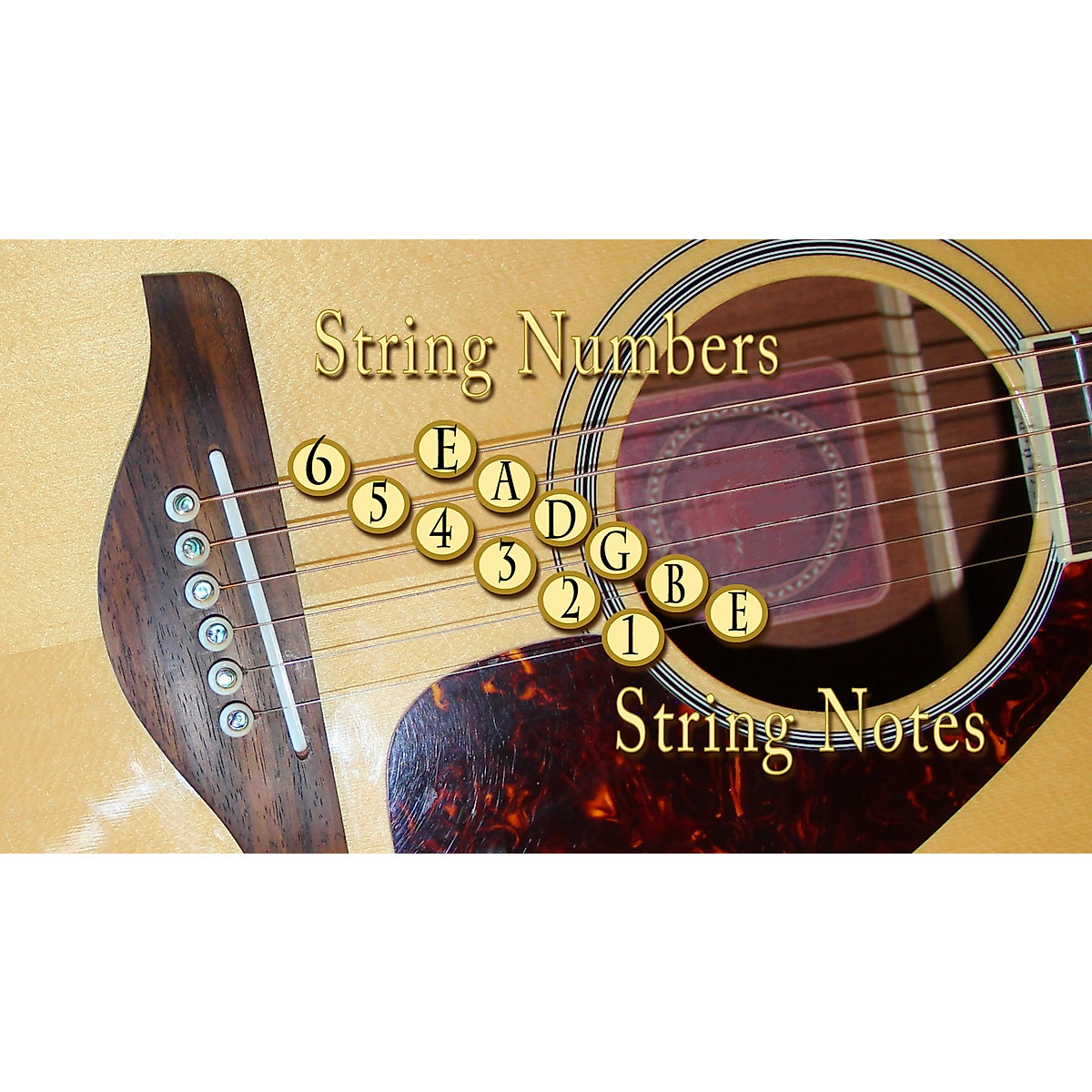 Acoustic & Electric Guitar Beginning Lessons