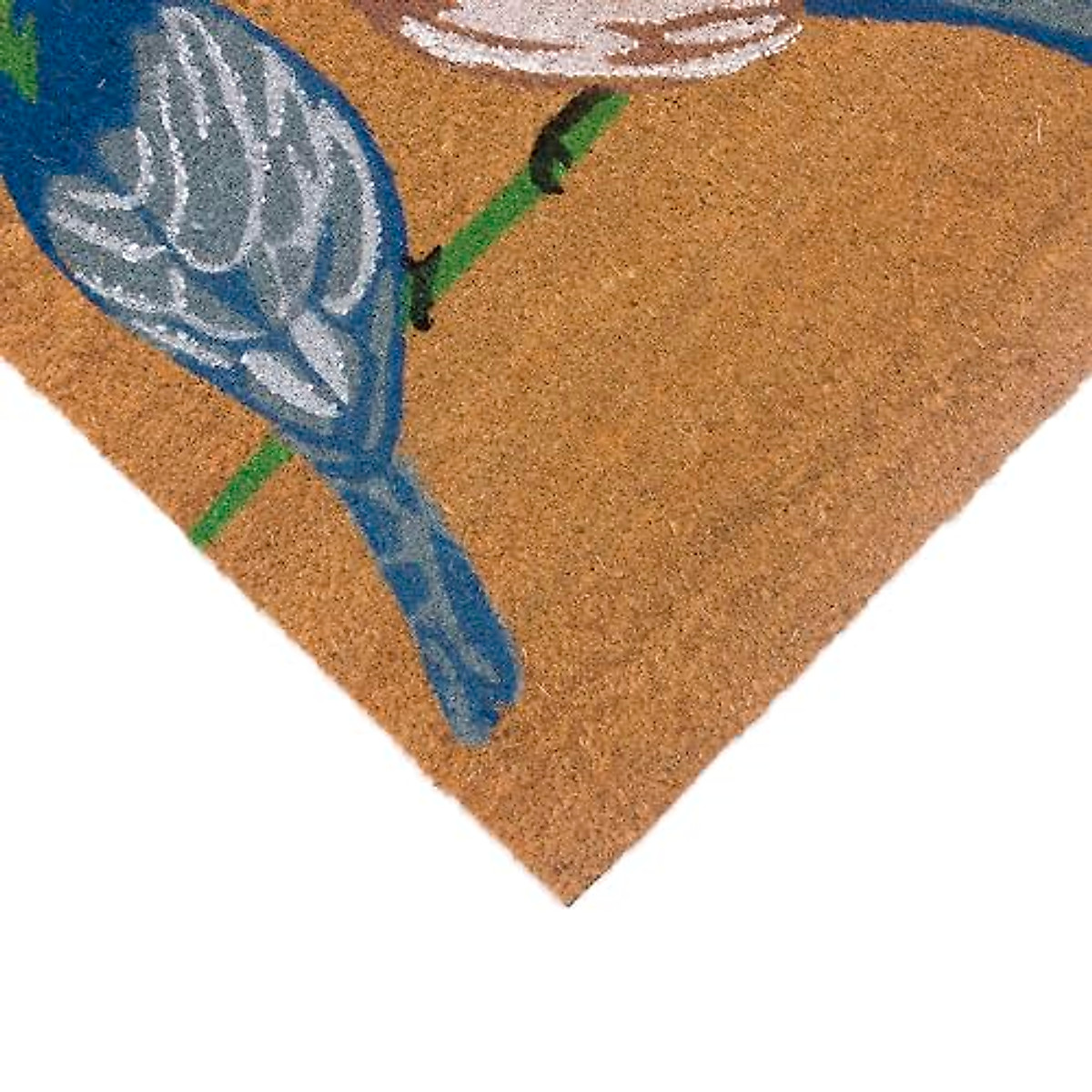 Liora Manne Natura Doormat Non-Slip Natural Fiber Outdoor Mat-Animal, Blue Birds Natural 2' x 3'