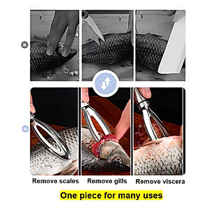 Fish Scale Remover,304 Stainless Steel Fish Scaler Easy Use Fish Descaler Tool,Fish Scaler Remover Lung Remover for Family Kitchen,Easy to Clean Kitchen Tool(9.65 * 1.26in)-SATONBEYI