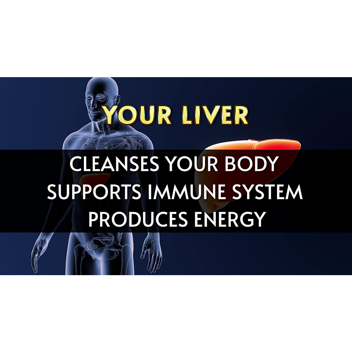 Liverite Liver Aid With Milk Thistle 150 Capsules, Liver Support, Liver Cleanse, Liver Care, Improves Energy