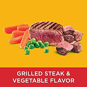 PEDIGREE Puppy Growth & Protection Dry Dog Food Grilled Steak & Vegetable Flavor, 3.5 lb. Bag