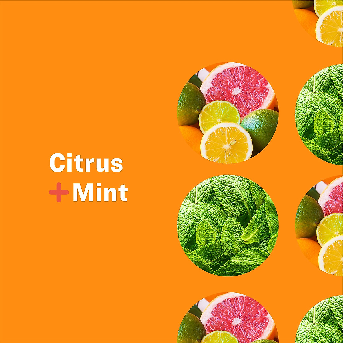 Everyone 3-in-1 Soap, Body Wash, Bubble Bath, Shampoo, 32 Ounce (Pack of 2), Citrus and Mint, Coconut Cleanser with Plant Extracts and Pure Essential Oils