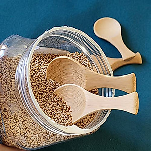 HYMAOME 4pcs Wooden Tea Spoons Little Salt Scoop Small Natural Wood Spice Jars Spoon for Scooping Jam/Ice Cream/Honey/Coffee/Sugar/Butter