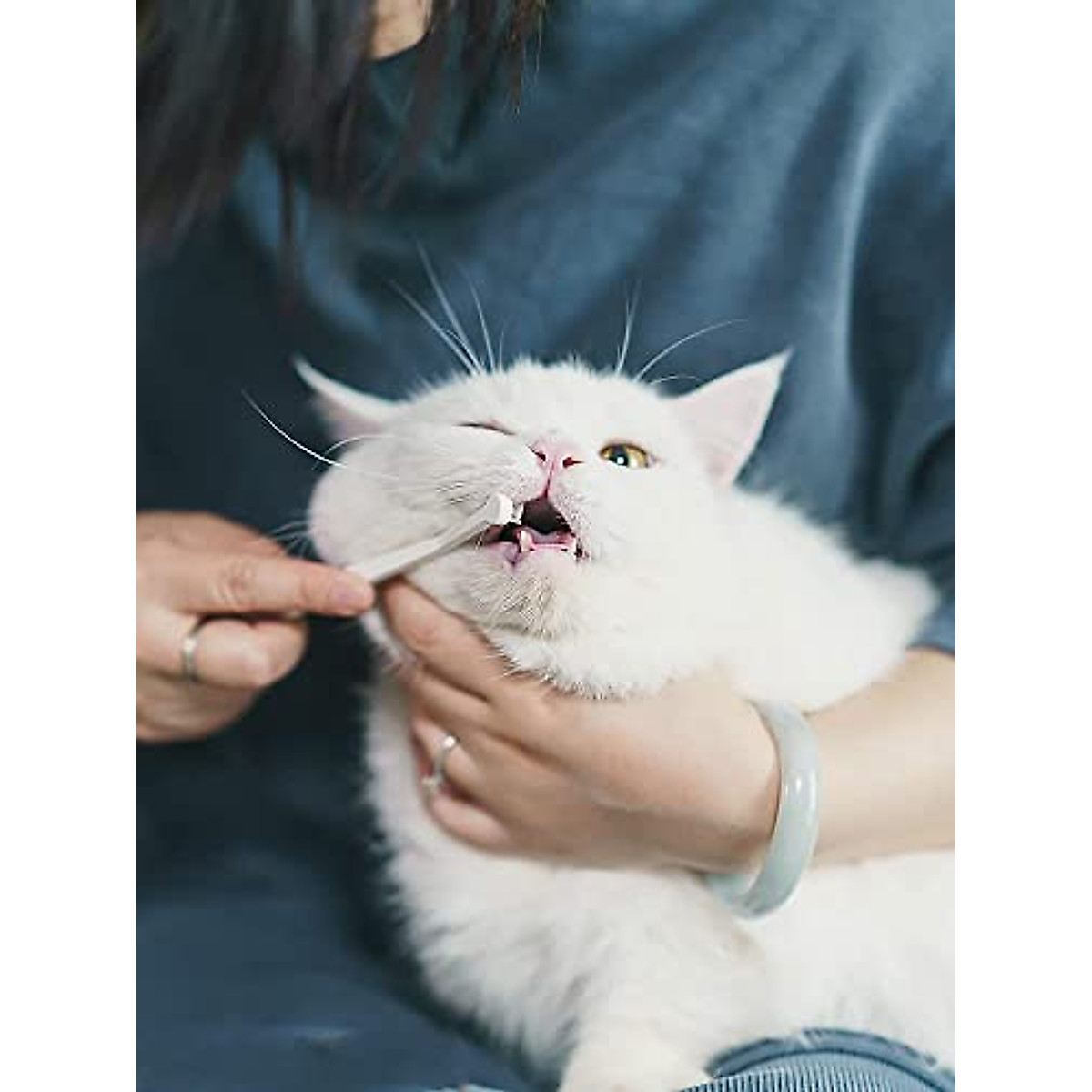 MIND UP Toothbrush Micro Head for Cats Made in Japan by Nyanko Care (1)