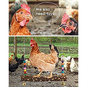 Woiworco 4 Packs Chicken Toys for Hens in Coop, Chicken Xylophone Toy with Mirror, Vegetable Hanging Feeder and Chicken Swing Toys Chicken Supplies Chicken Coop Accessories for Your Chicken Gift