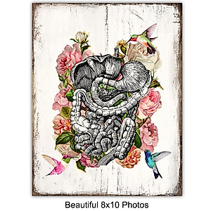 Human Anatomy Floral Hummingbird Wall Art Poster Set - 8x10 Rustic Heart, Brain, Lungs for Doctor, Medical Office, Living Room, Bedroom - Shabby Chic Goth Gift for ER Nurse Practitioner, RN, CNA