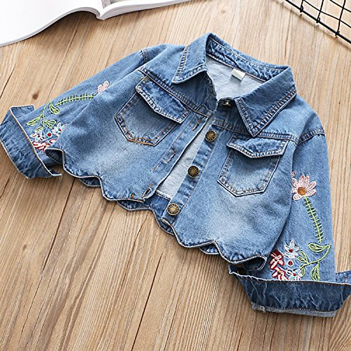 Spring Autumn Little Girls Clothing Set Child Kids Denim Jacket and Long Sleeve Dress 2 Pieces Set (4T, Pink)