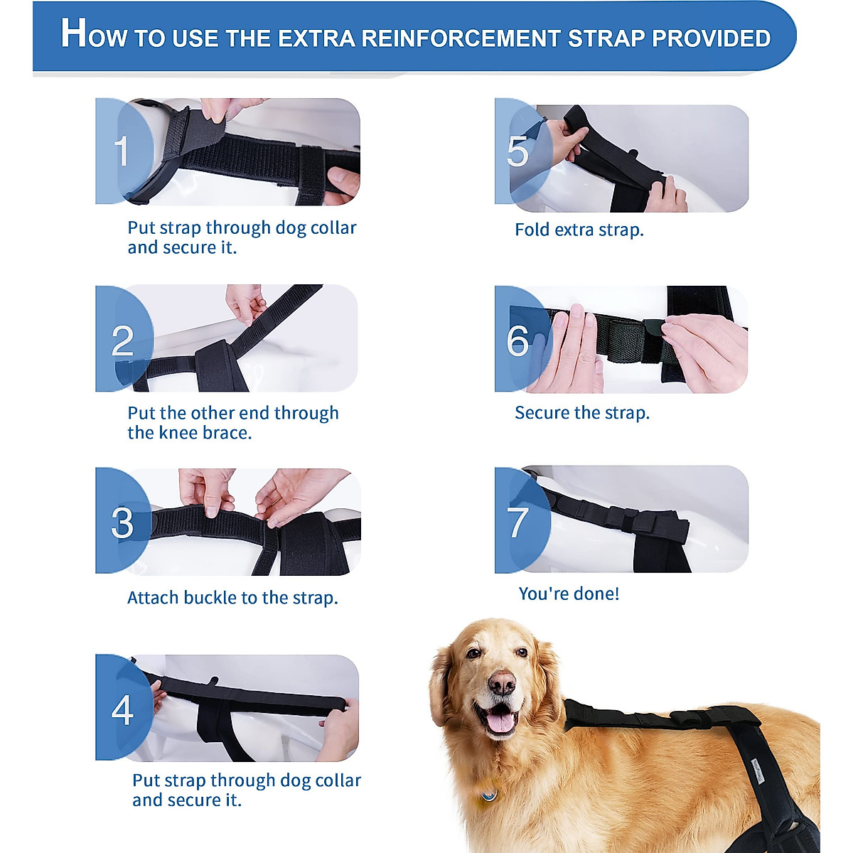 MerryMilo Dog Knee Brace for Hind and Rear Leg, Support for Dog ACL CCL Cruciate Ligament Injury Joint Pain and Muscle Sore, Size XL