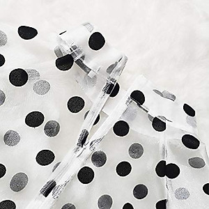 AOMEI Women's Stand Collar Polka Dot See Through Front Tie Peplum Blouse Transparent XXL