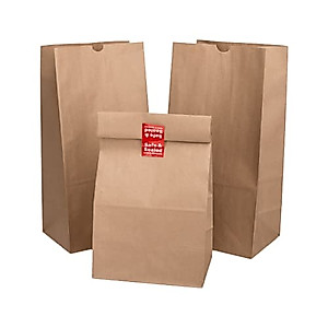 Karat 20 LB Paper Bag (Kraft) - 500 ct