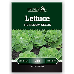 Lettuce Seeds for Planting, Red Romaine Lettuce, Bibb Butter Lettuce, Black Seeded Simpson, Green Ice Iceberg Lettuce, Non-GMO…