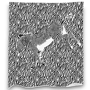 Loong Design Fun Zebra Throw Blanket Super Soft, Fluffy, Premium Sherpa Fleece Blanket 50'' x 60'' Fit for Sofa Chair Bed Office Travelling Camping Gift