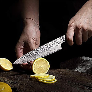 YOUNG&TAYLOR 8 Inch Professional Chef Knife,67 Layers Japanese VG-10 DAMASCUS STEEL with Hammered Finished (Premium Rosewood Handle)