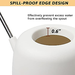 SAROSORA Watering Can for Hous Plants Garden Flower Long Spout 1.2L Helps You Water Tiny House Plants, Succulents, Bonsai or Herb Gardens (White)